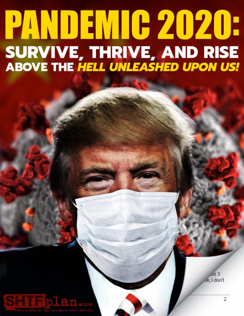 Pandemic 2020: Survive, Thrive, and Rise Above The Hell Unleashed Upon Us